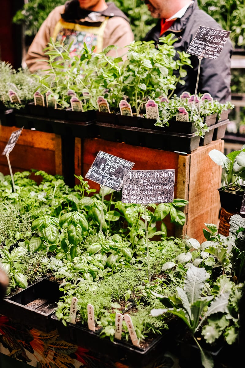 Spring Farmer's Market Picks! | Wit & Delight | Designing a Life Well-Lived