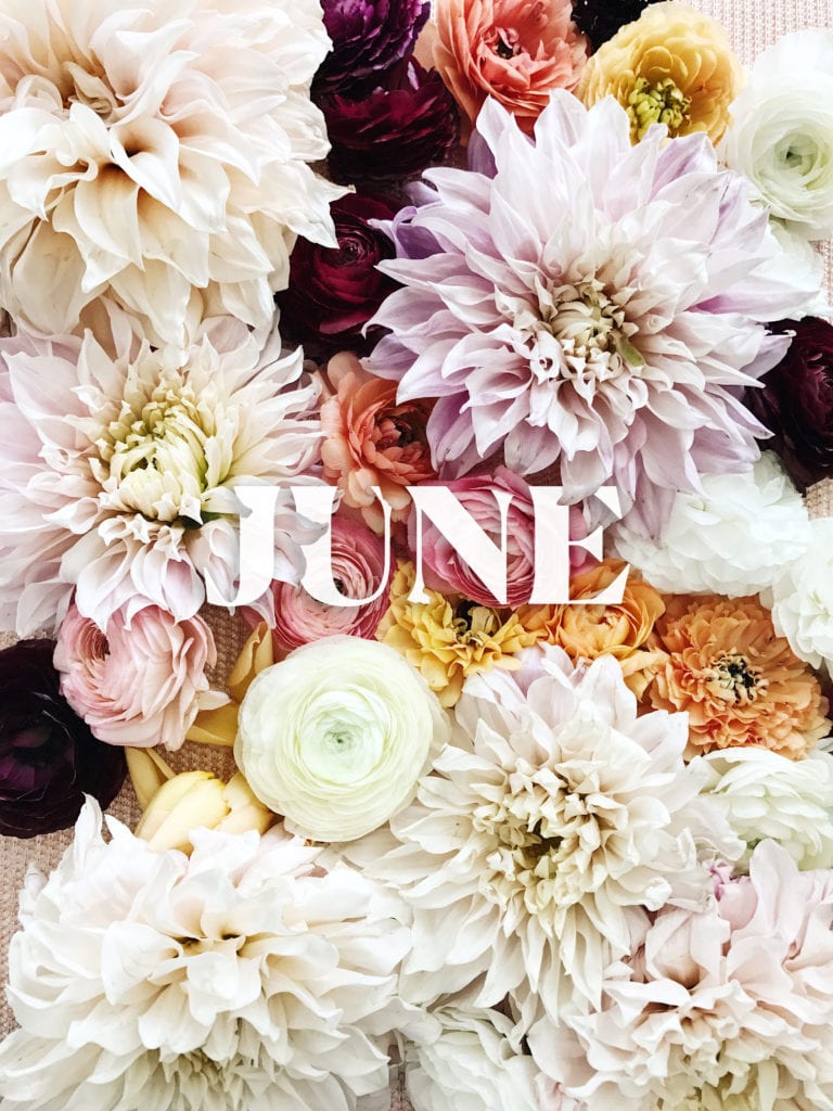 June & July Theme: Summer Like A Kid (Adult Style) | Wit & Delight ...