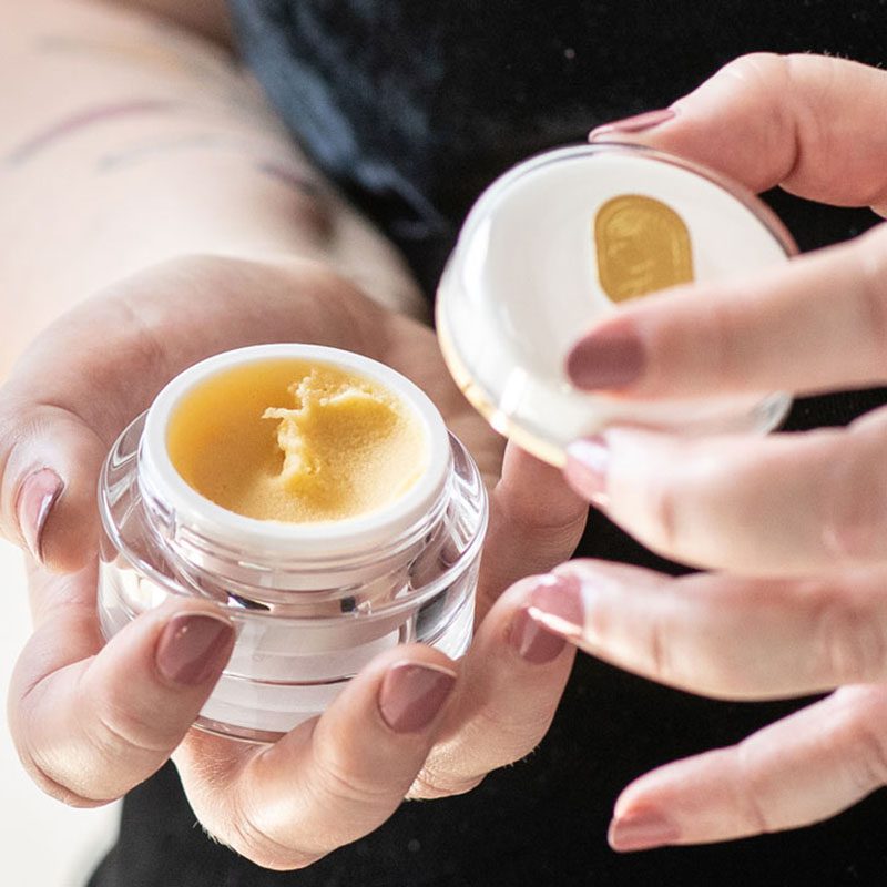 Kate's Picks: 7 Things I Tried in February and Loved | Wit & Delight