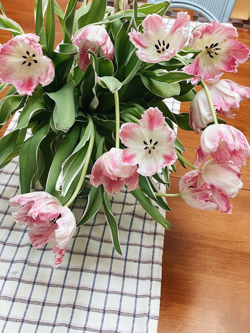 Spending Freeze FAQ: Why I Started It and What It Looks Like in My Life ...